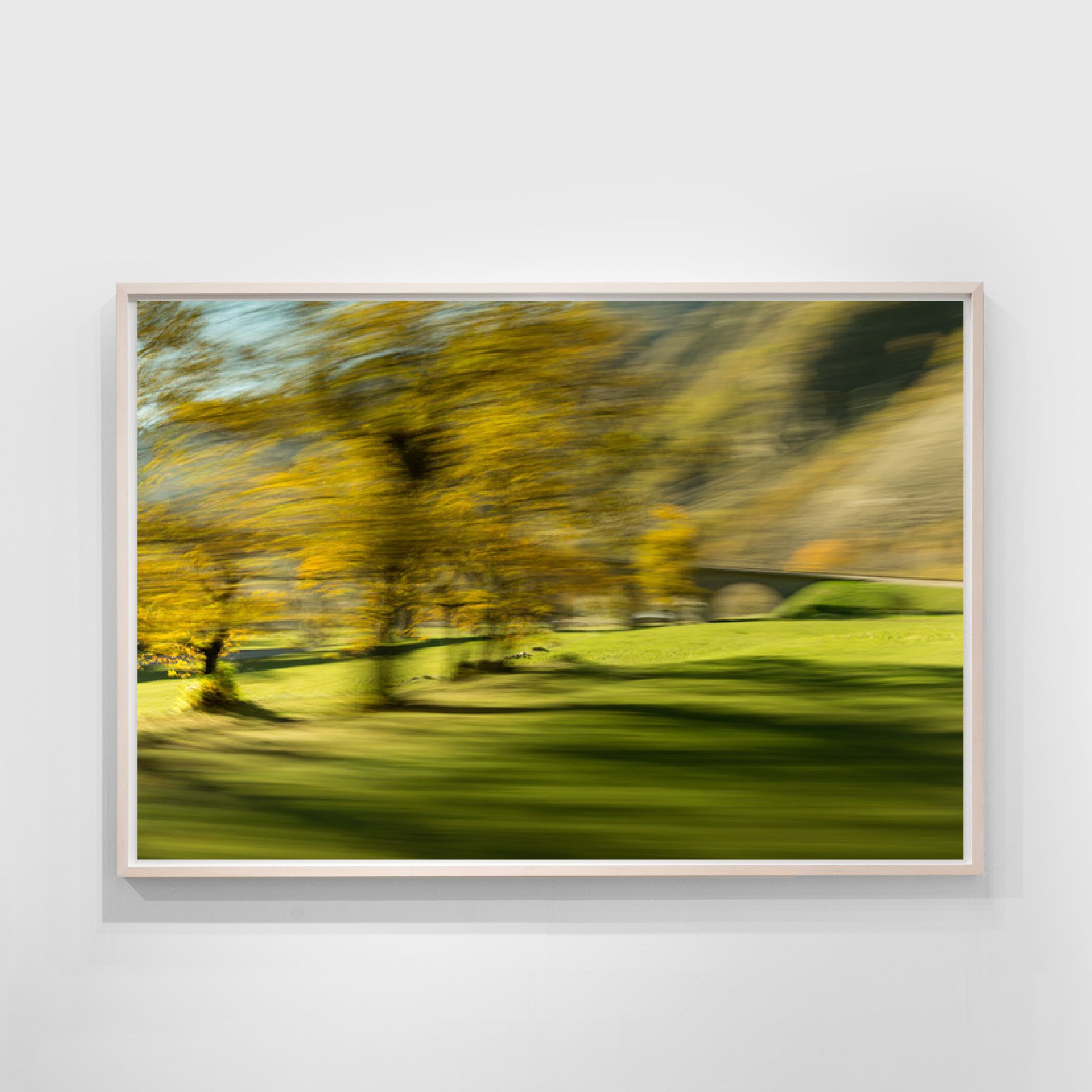 artists – ammann//gallery