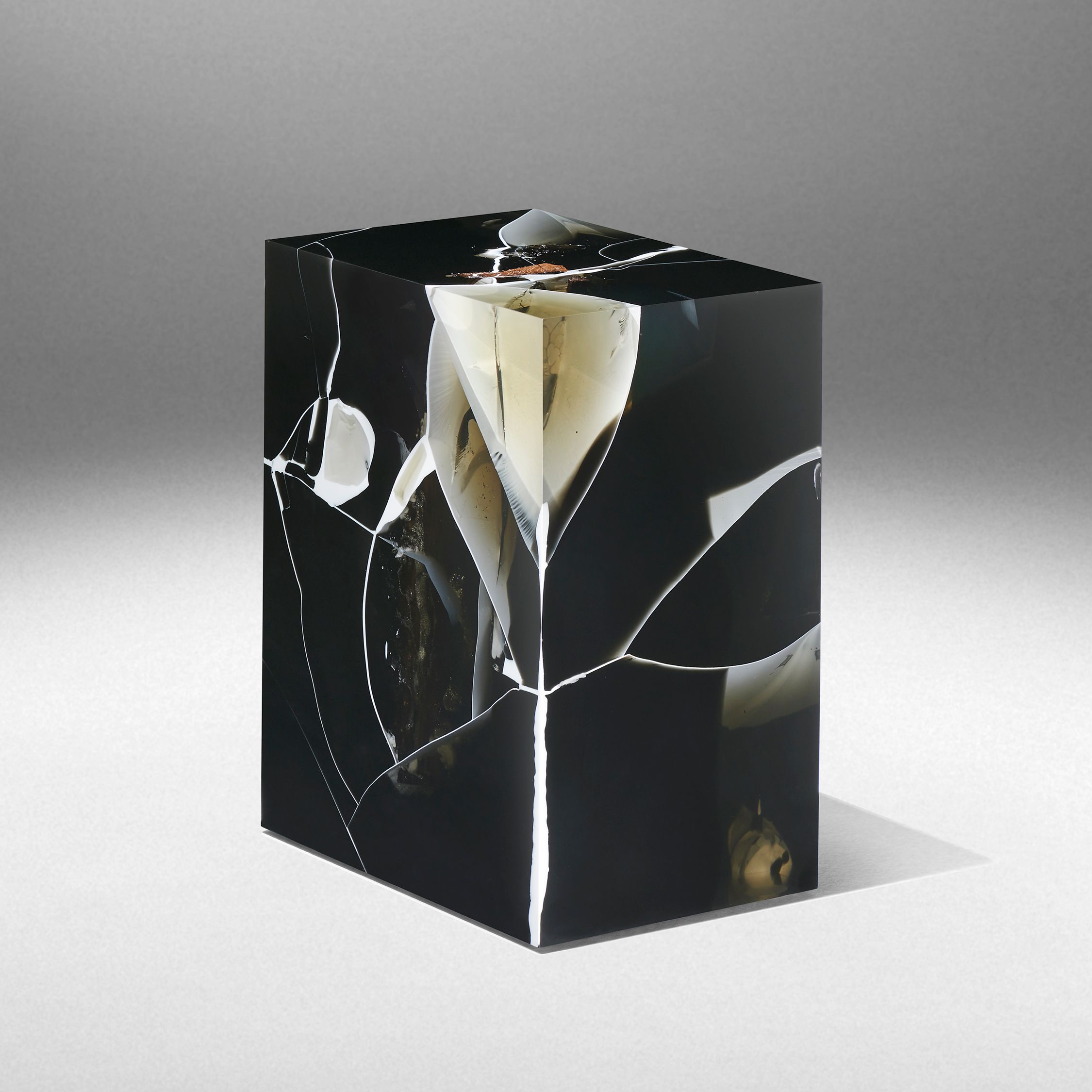 stone fossil and ice fossil – ammann//gallery