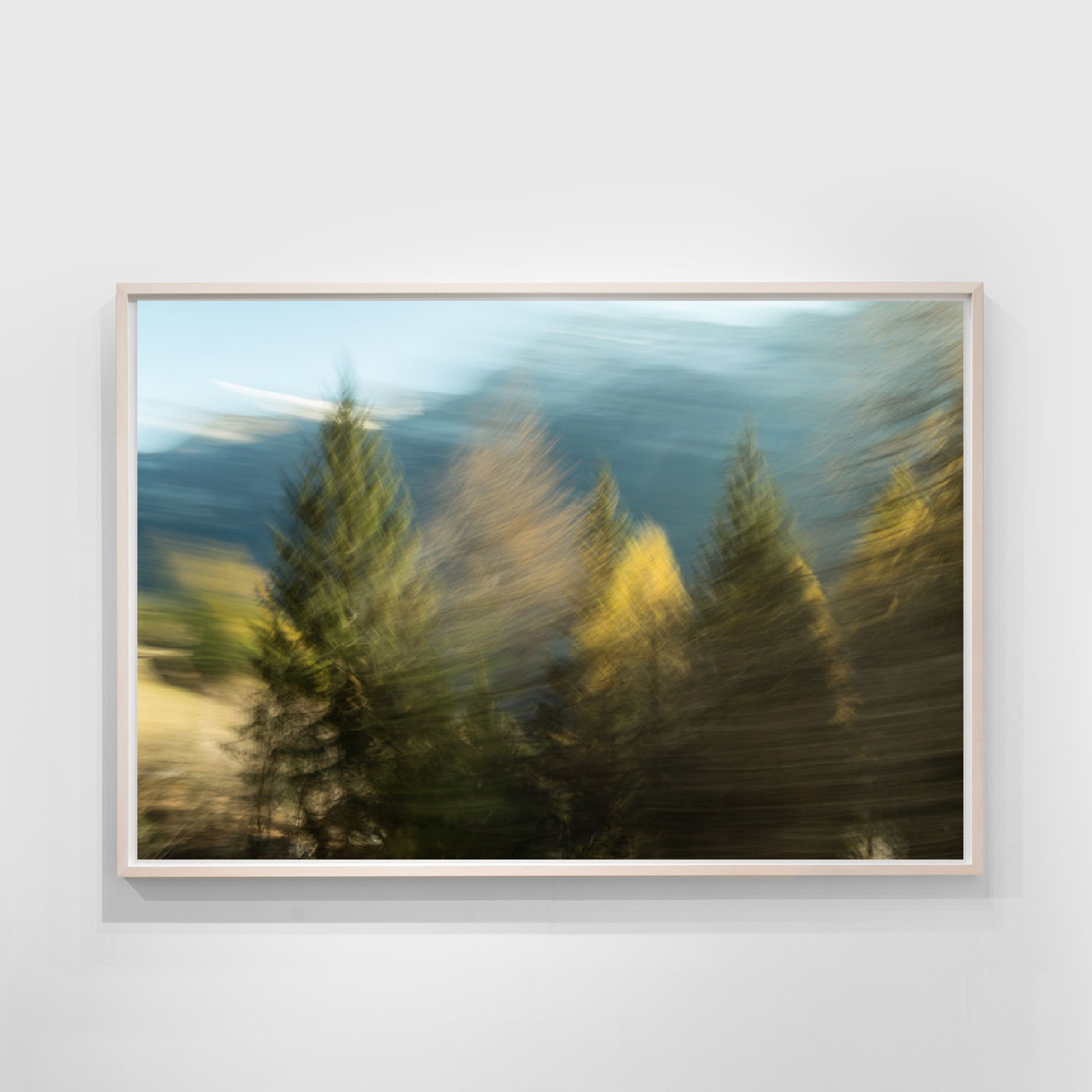 artists – ammann//gallery